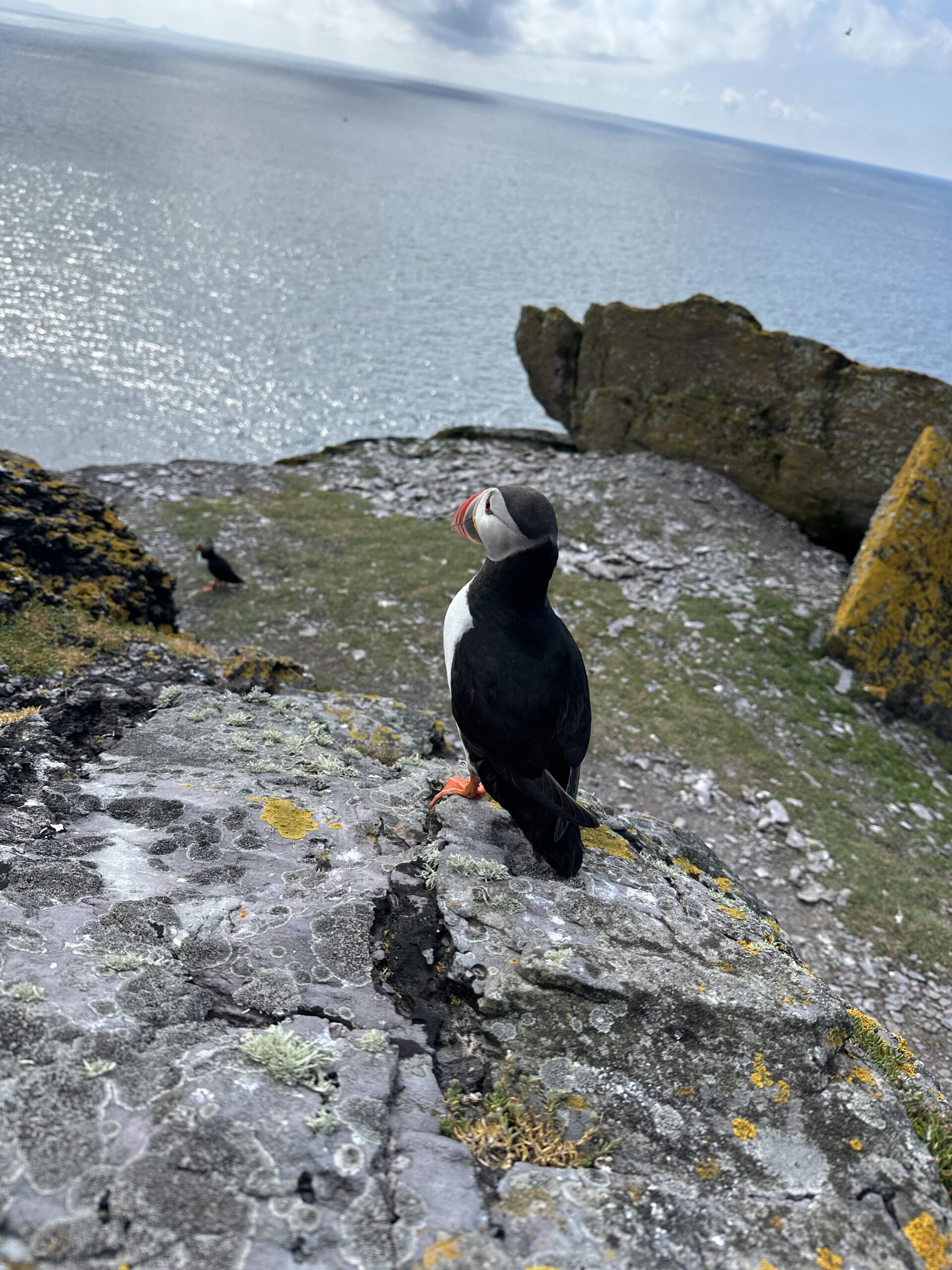 An Epic Adventure: Landing on Skellig Michael, Ireland - Werthwhile ...